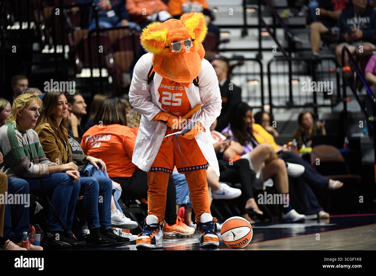 UNCASVILLE, CT - AUGUST 21: Blaze, the Connecticut Sun mascot, dressed ...