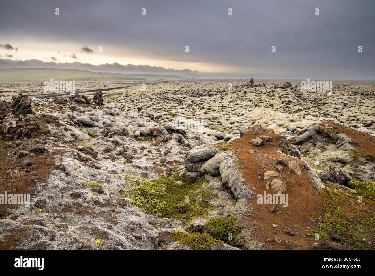Lava field eldhraun iceland hi-res stock photography and images - Alamy