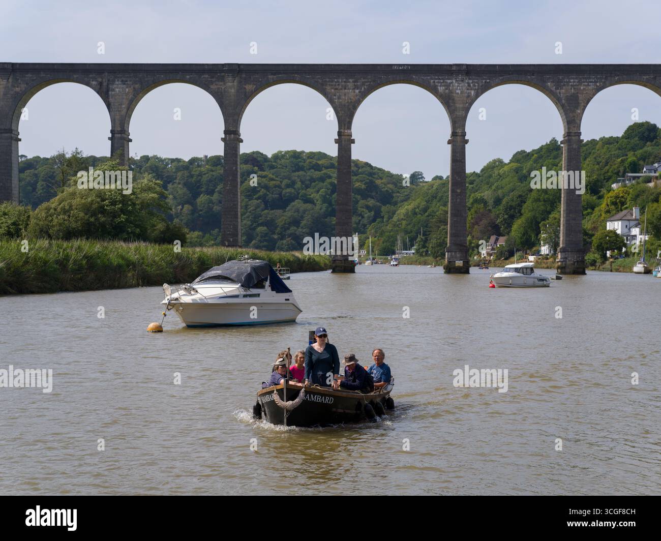 Calstock boat trees hi-res stock photography and images - Alamy