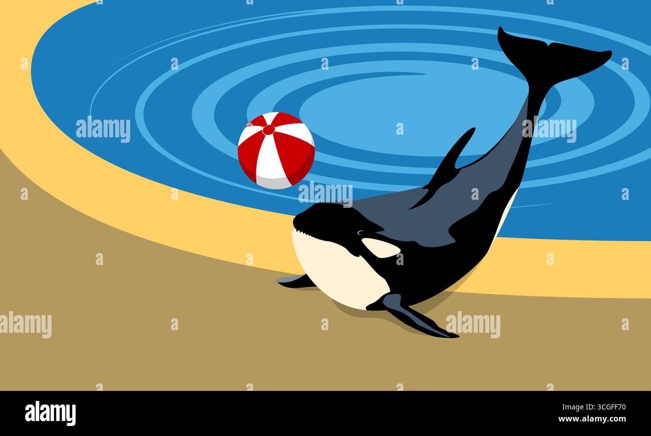 Vector illustration of an orca near a swimming pool with a beach ball ...