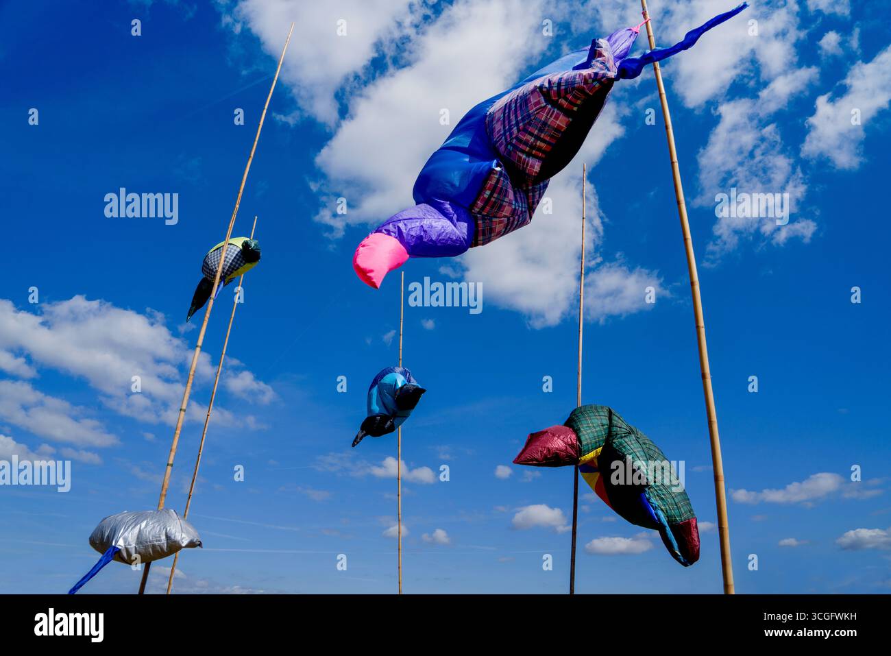 The Installation "RAYS" by Lorena Malo ", 12th wind art festival 2025 ...