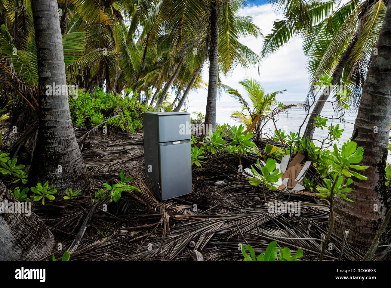 Dumped refrigerator hi-res stock photography and images - Alamy