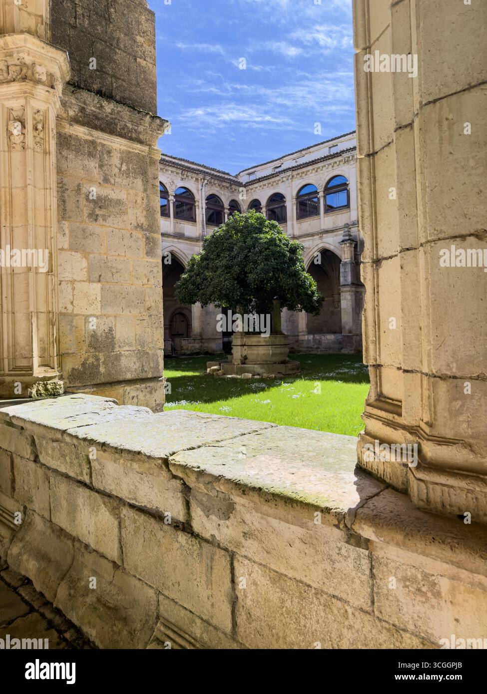 Elaborate ribbed vaults and columns in the cloister of a Renaissance ...