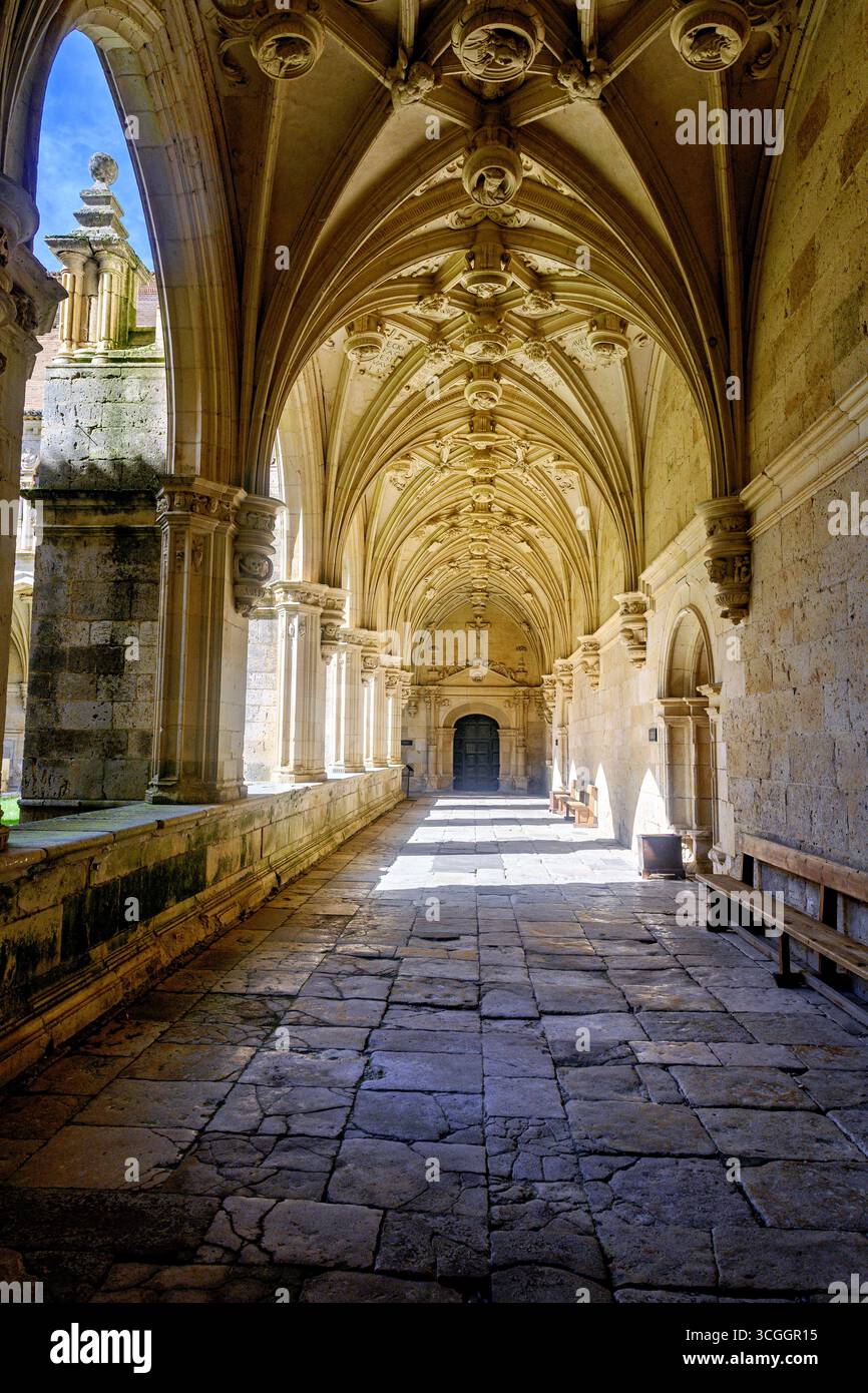 Decorated ribbed vaults and arched gallery in a Renaissance monastery ...