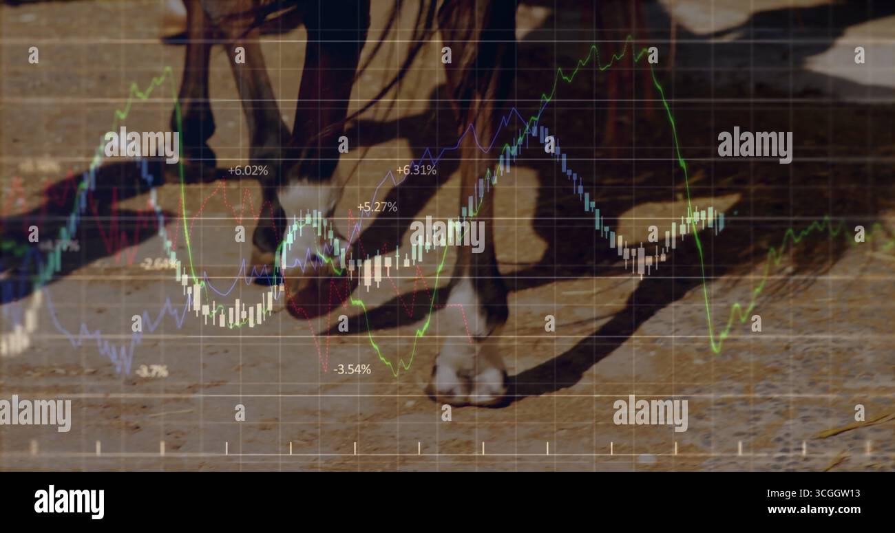 Displaying horse hooves kicking up dust on dirt track, with market ...