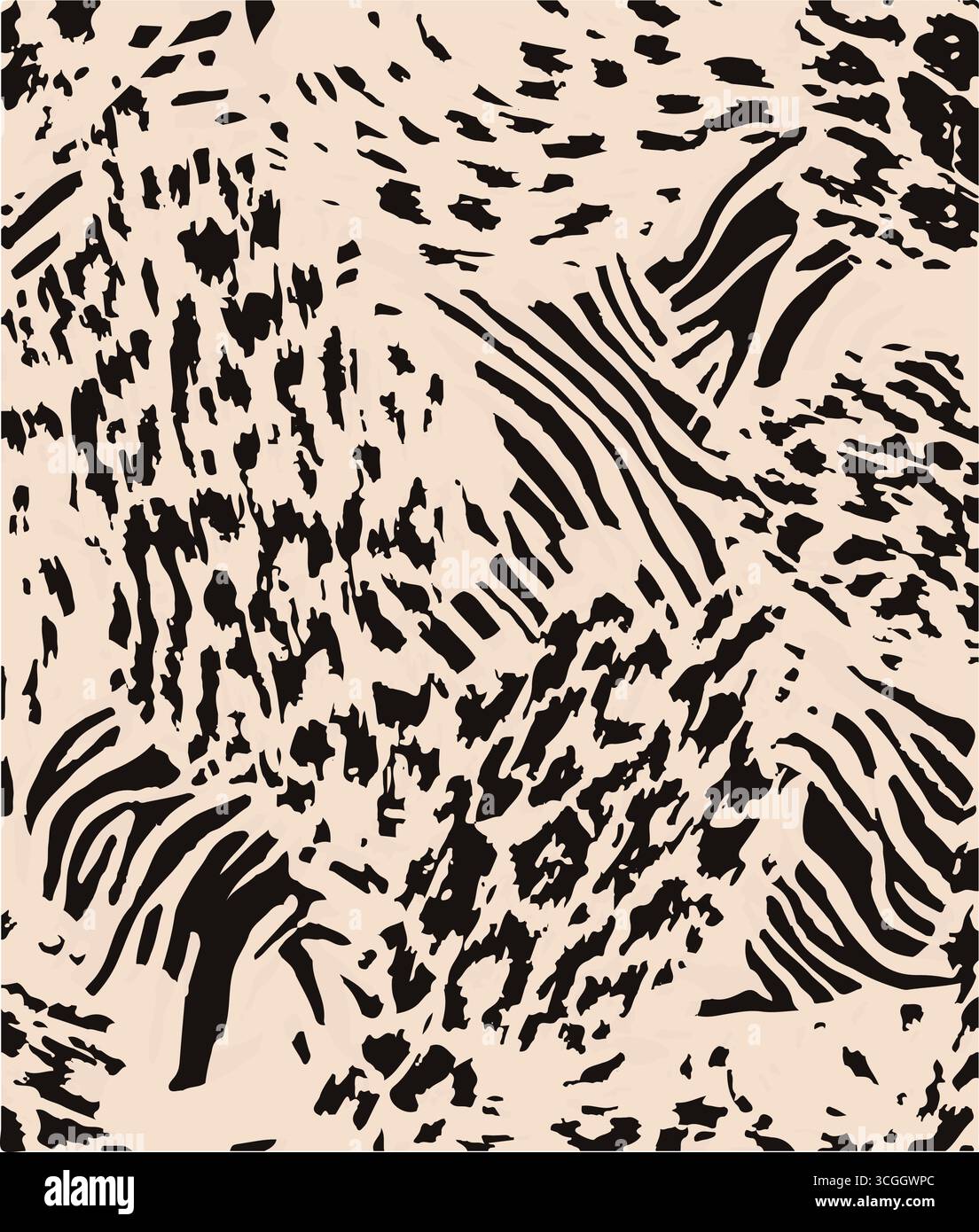 South africa cheetah close Stock Vector Images - Alamy