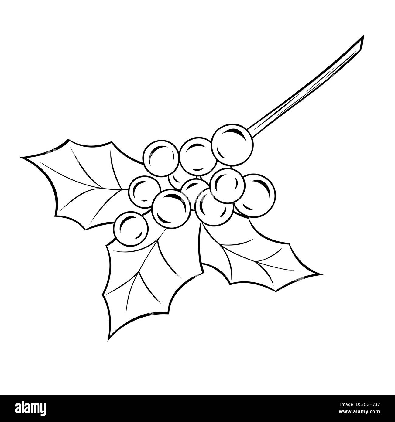 Cartoon christmas holly berries hi-res stock photography and images - Alamy