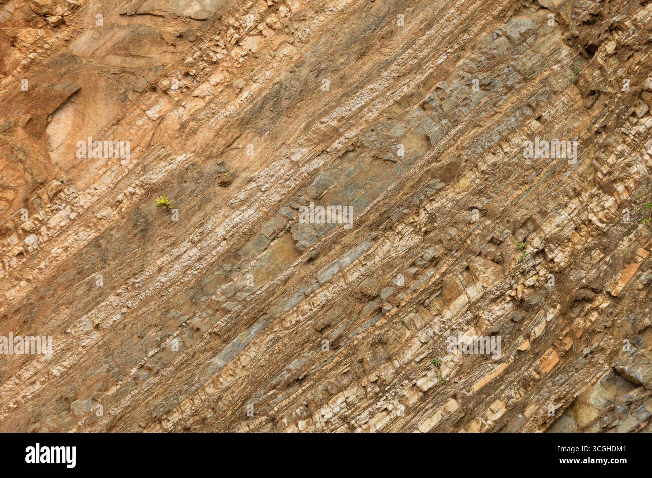 Cross section texture of large composite rock Stock Photo - Alamy