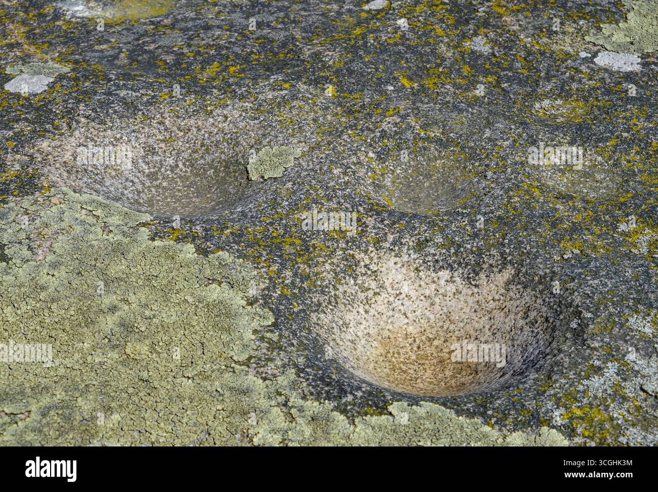 15 August 2025, Denmark, Borre: Small hollows carved as bowls can be ...