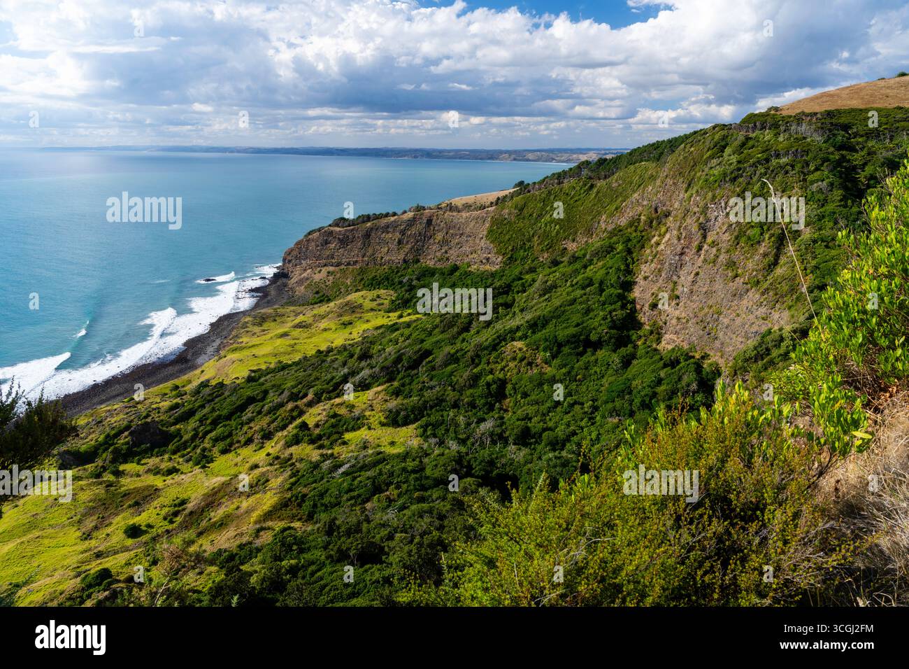 Photograph of the Te Toto Gorge Lookout near Raglan, Hamilton, New ...