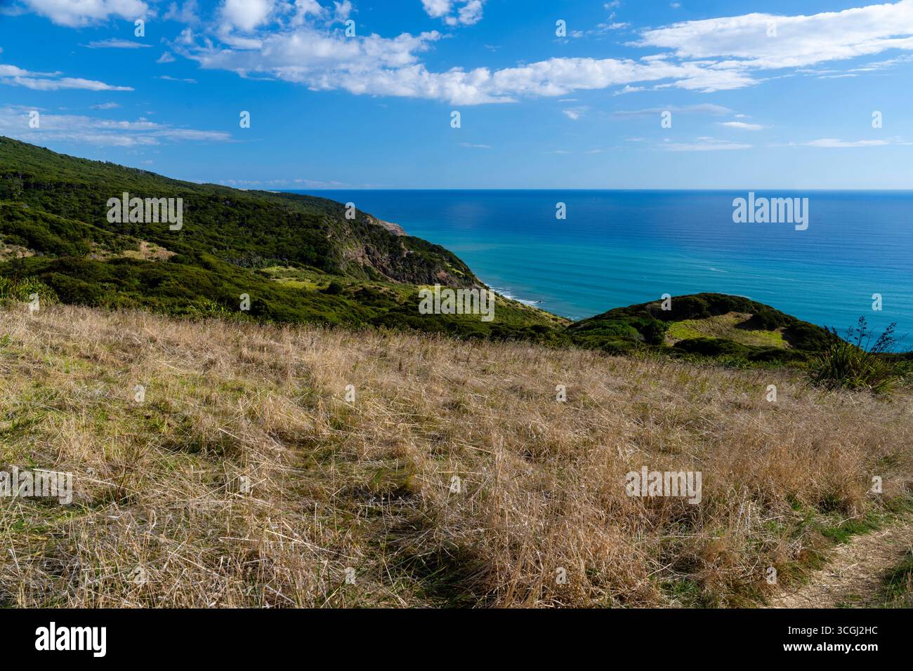 Photograph of the Te Toto Gorge Lookout near Raglan, Hamilton, New ...