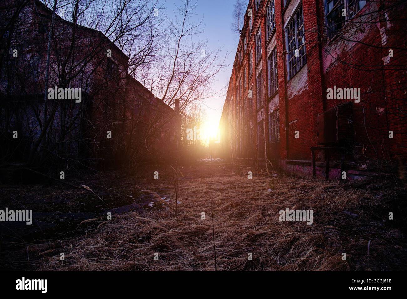 Territory of abandoned industrial area. Large old red brick industrial ...