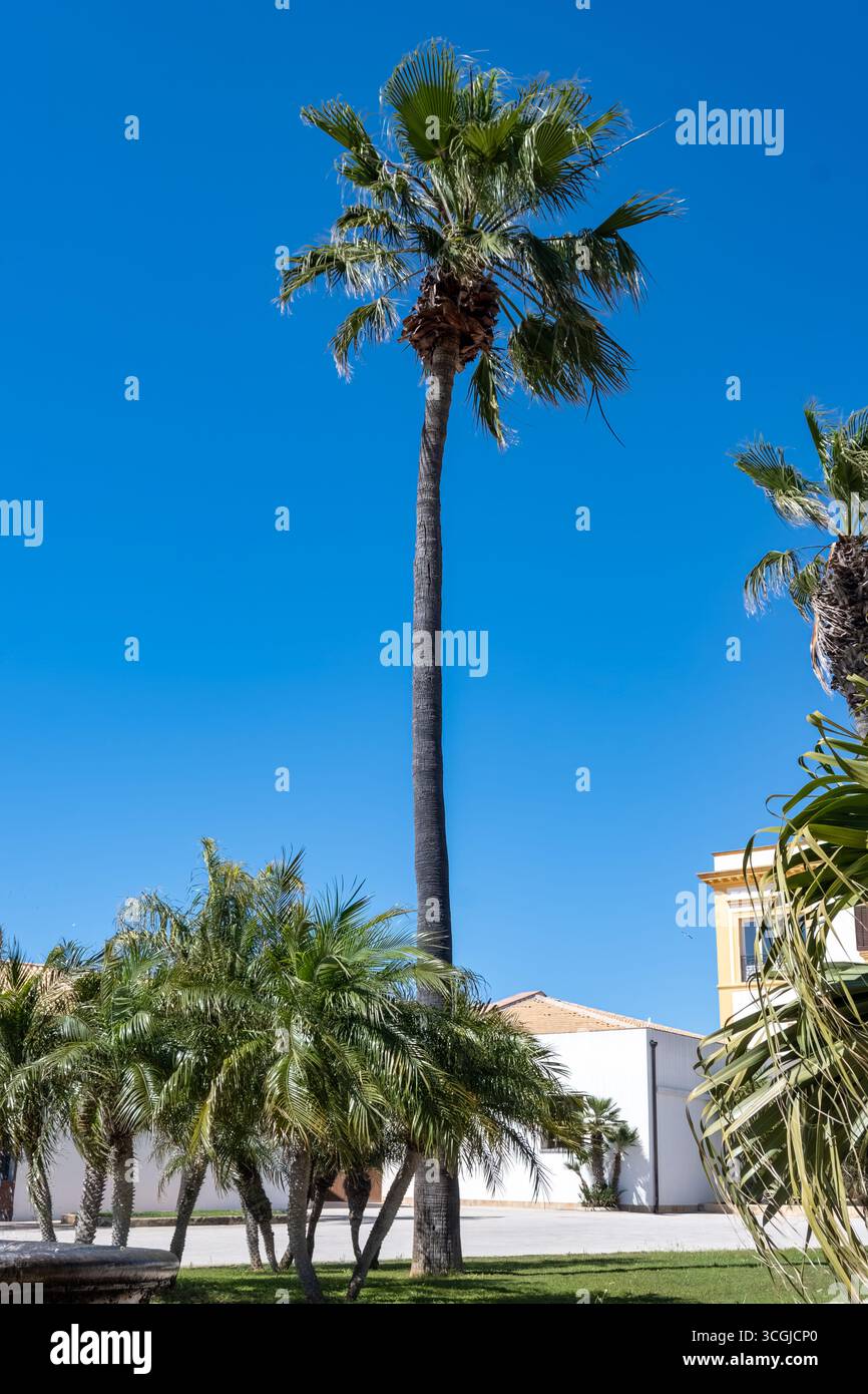 Views of Marsala, seaside Sicilian city with famous Marsala wine, old ...