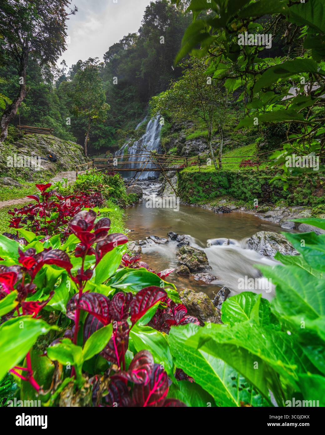The natural beauty of waterfalls and rivers, where serene atmosphere ...