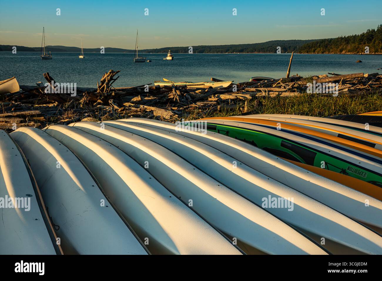 Kayaks on spencer spit hi-res stock photography and images - Alamy