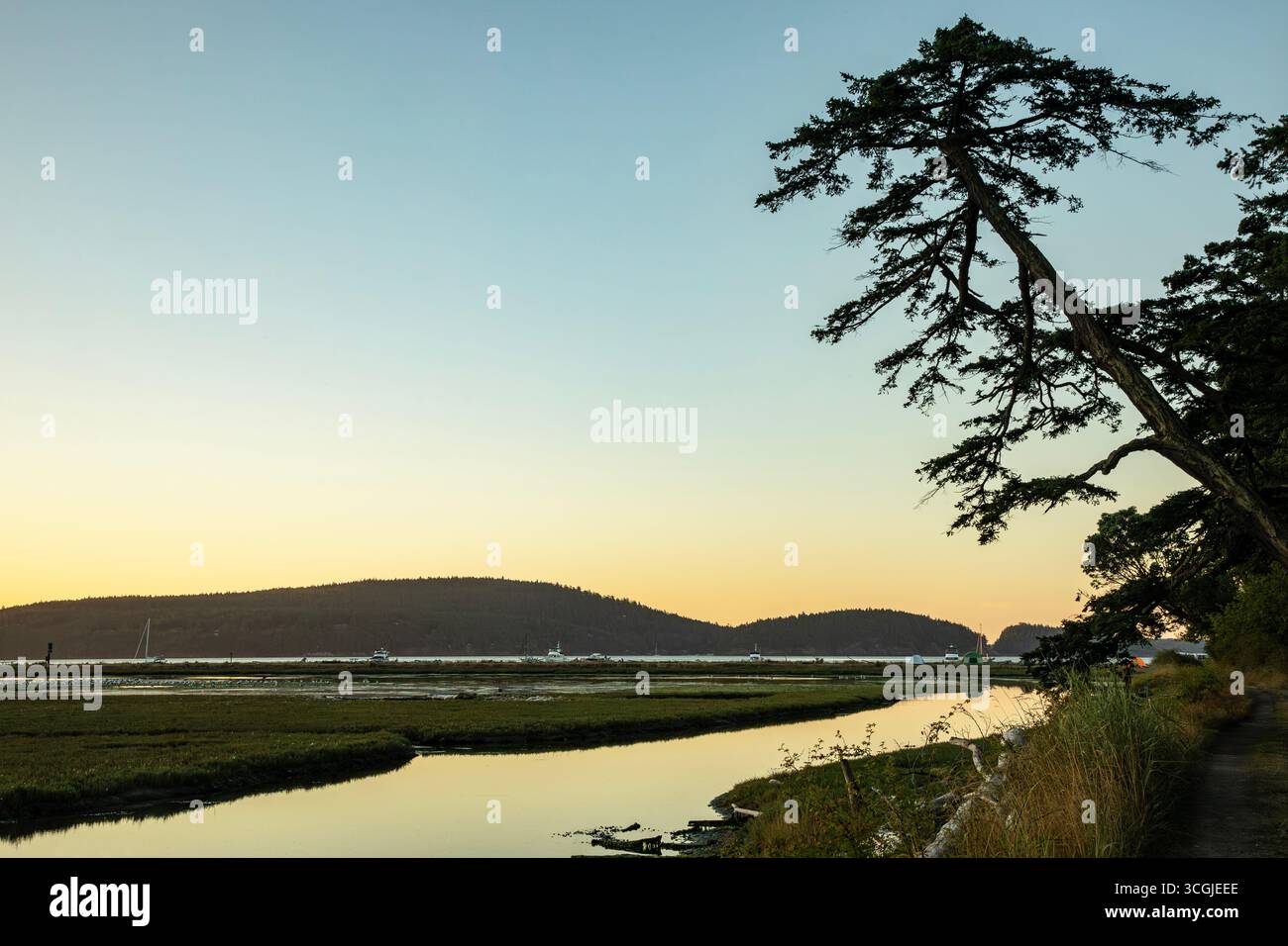 Marsh at the center of spencer spit state park hi-res stock photography ...