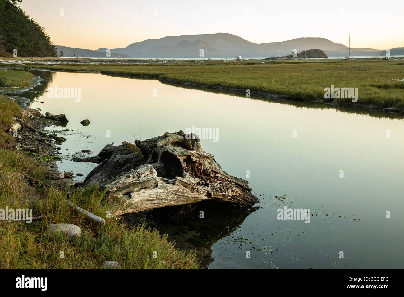 Marsh at the center of spencer spit state park hi-res stock photography ...