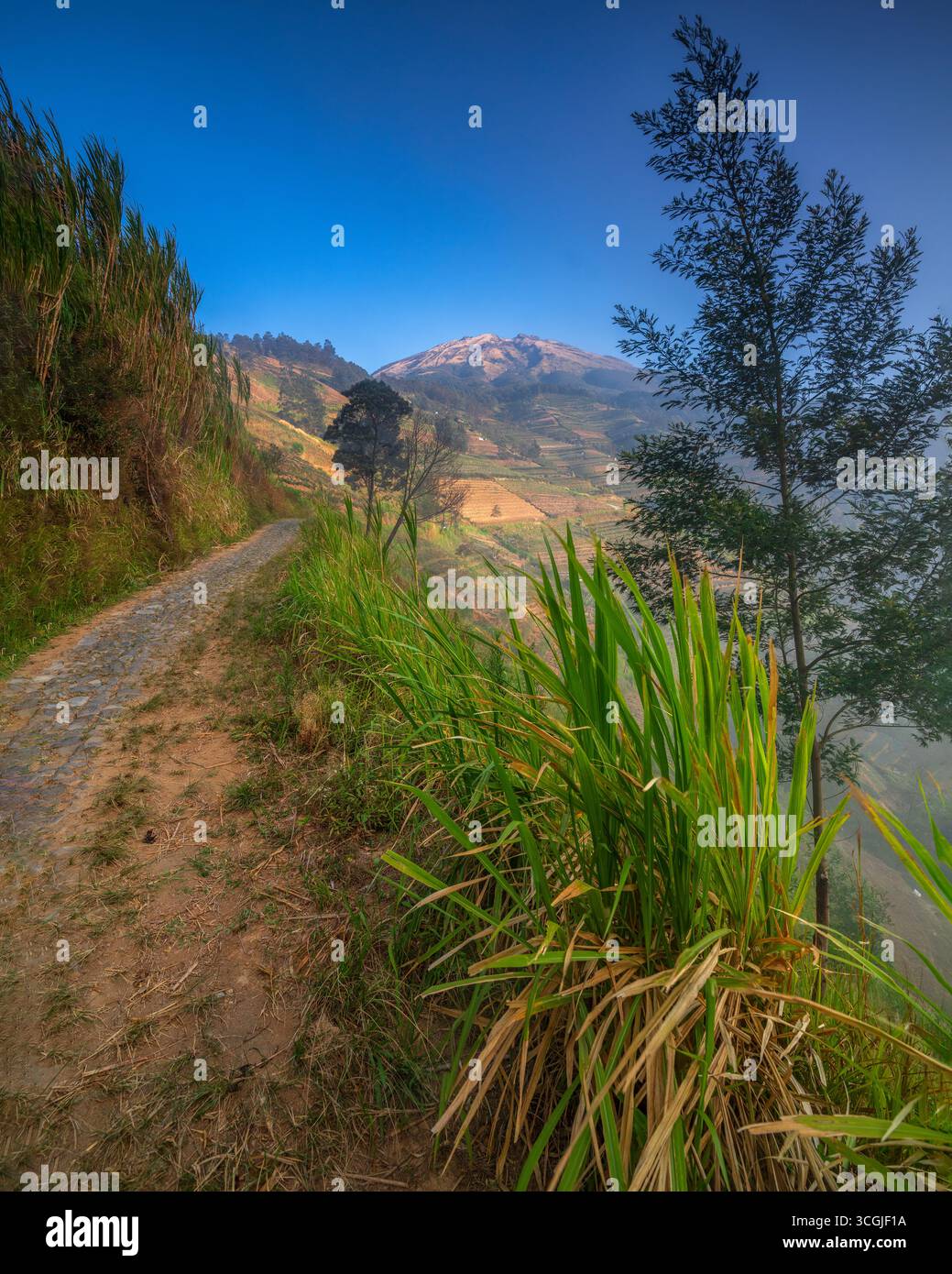 Mount Sumbing, located in Central Java, Indonesia, is a breathtaking ...