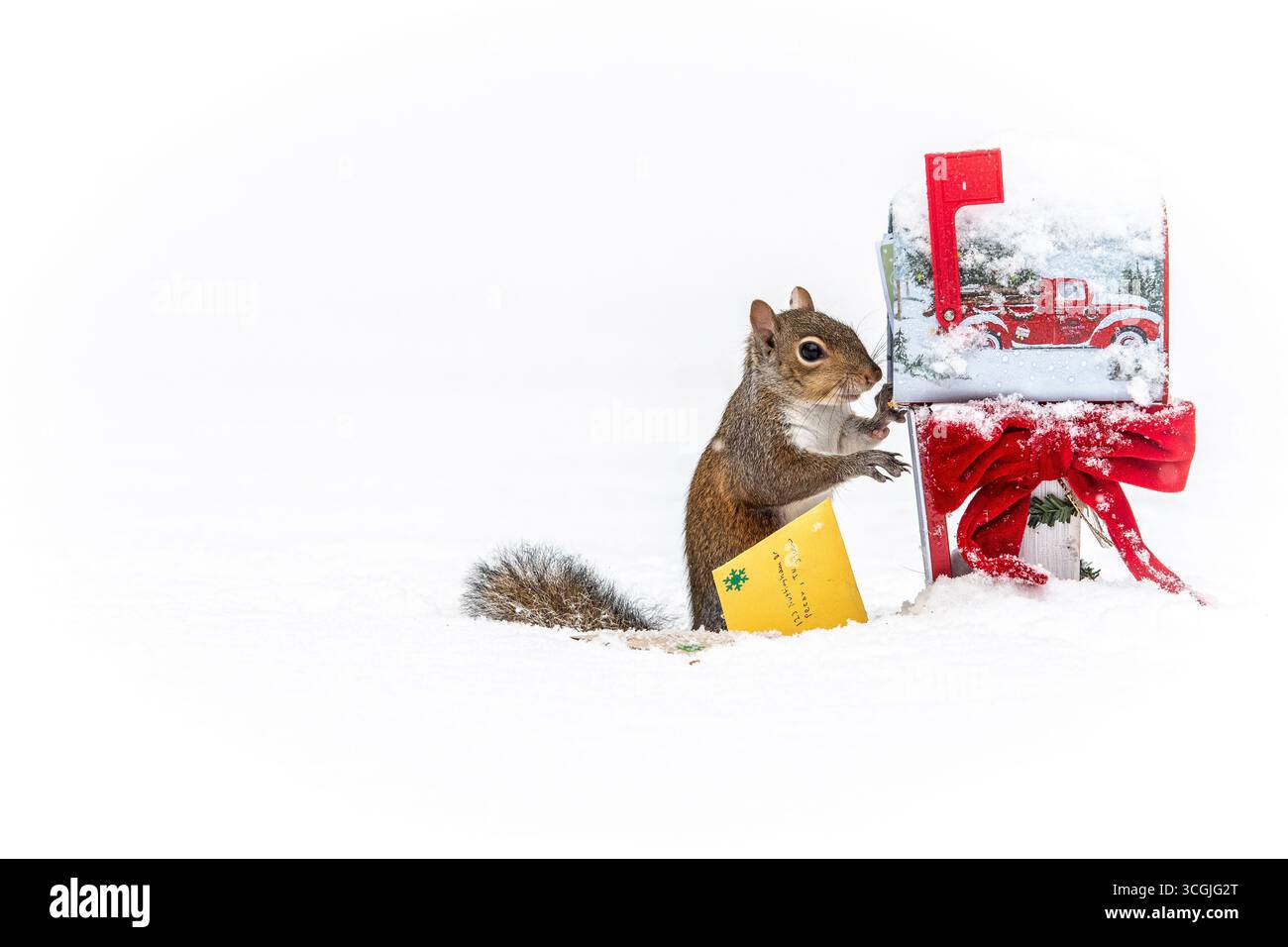 Getting the mail hi-res stock photography and images - Alamy