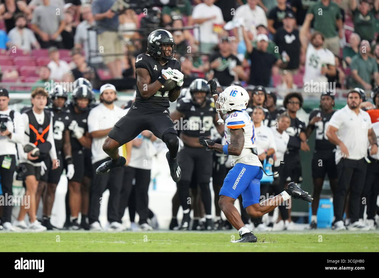 South Florida Bulls wide receiver Keshaun Singleton (11) makes a catch ...