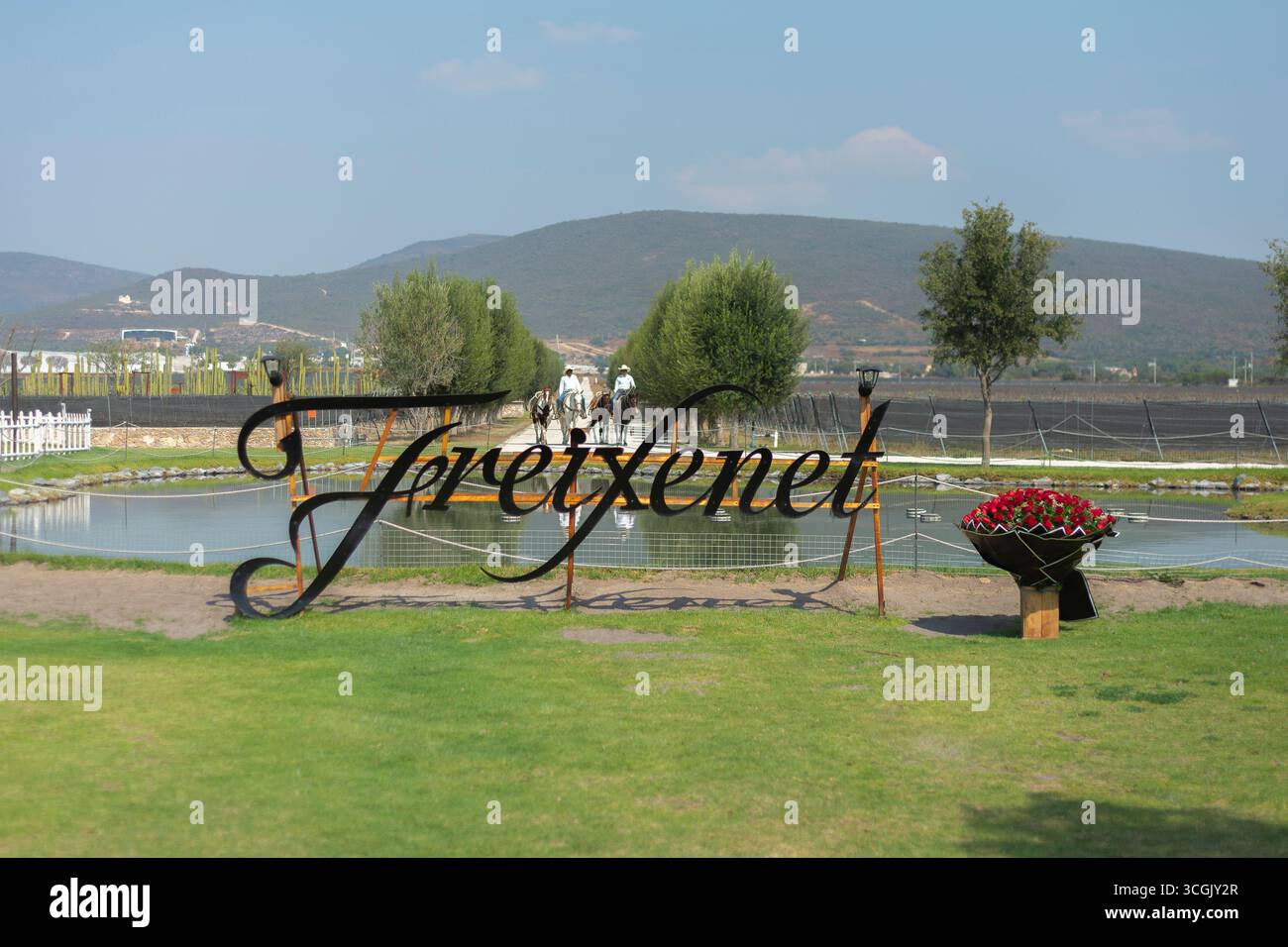 Vinedo freixenet hi-res stock photography and images - Alamy