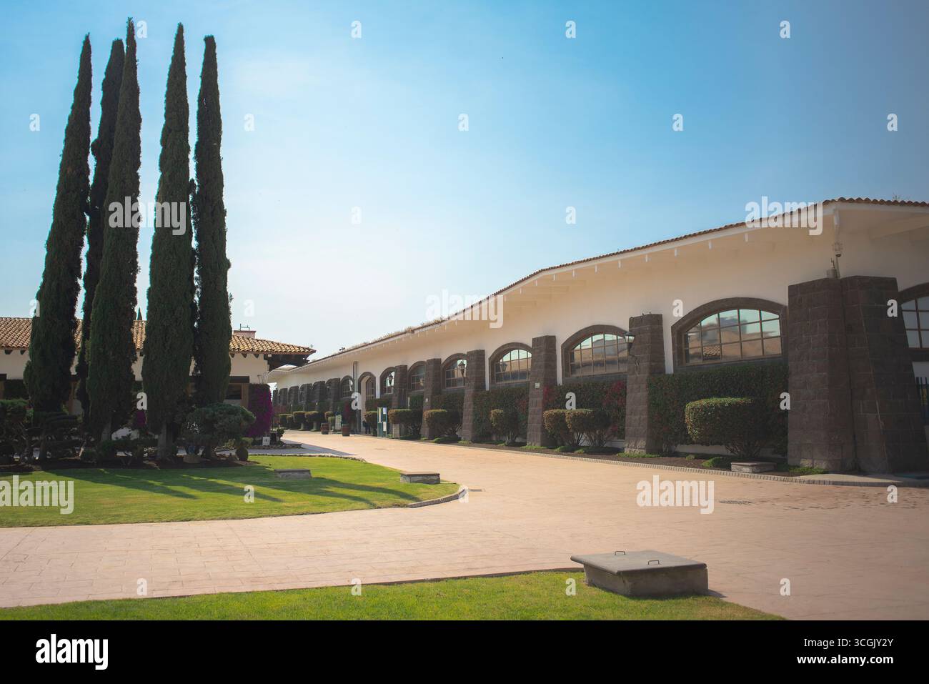 Vinedo freixenet hi-res stock photography and images - Alamy