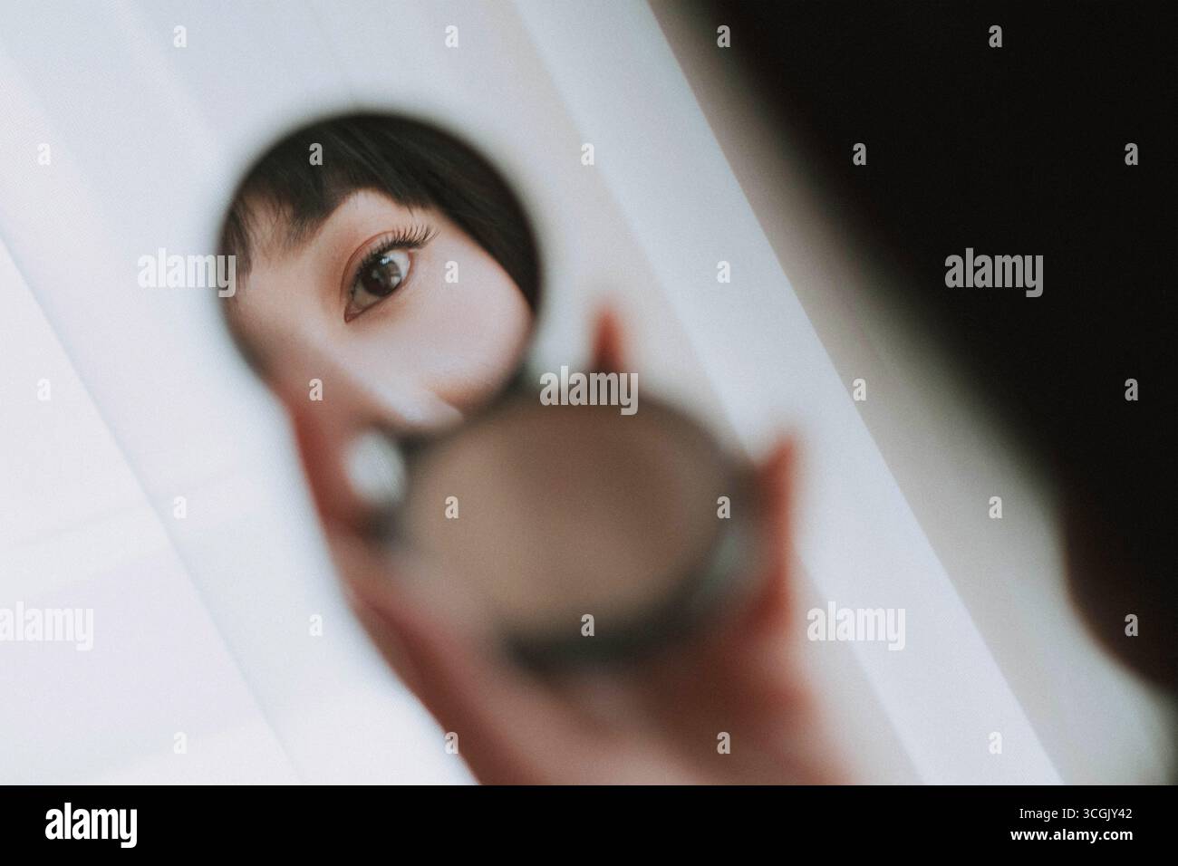 Eyebrow window detail hi-res stock photography and images - Alamy