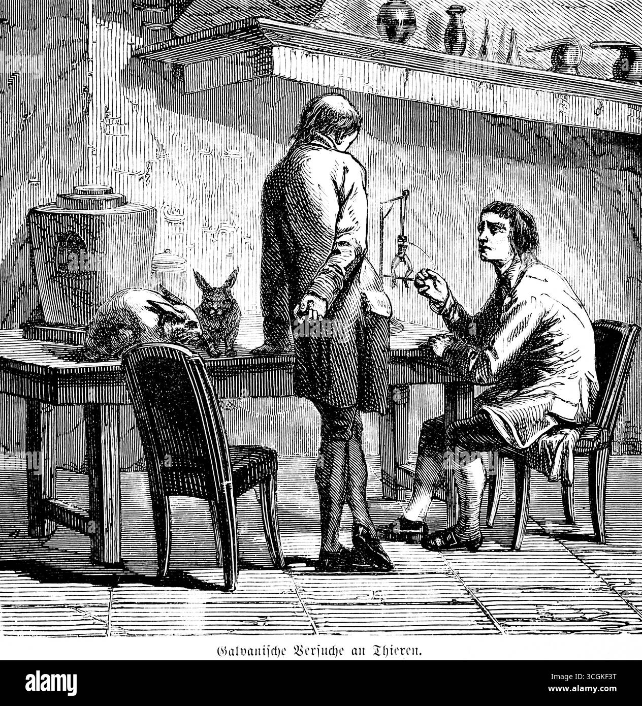 Rabbit invention Black and White Stock Photos & Images - Alamy