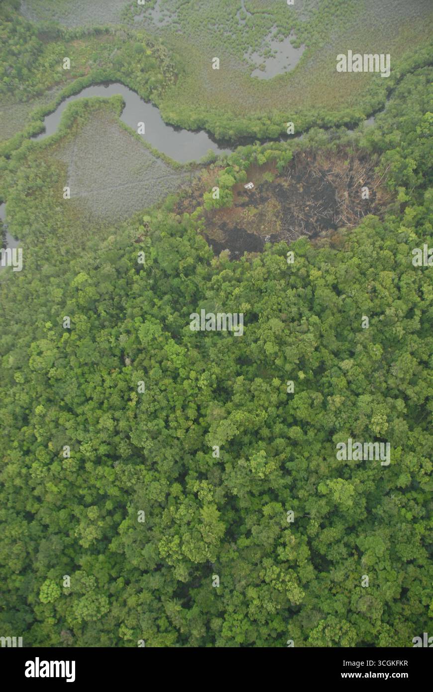 single bend in a river with an riel view of the jungle rain forest ...