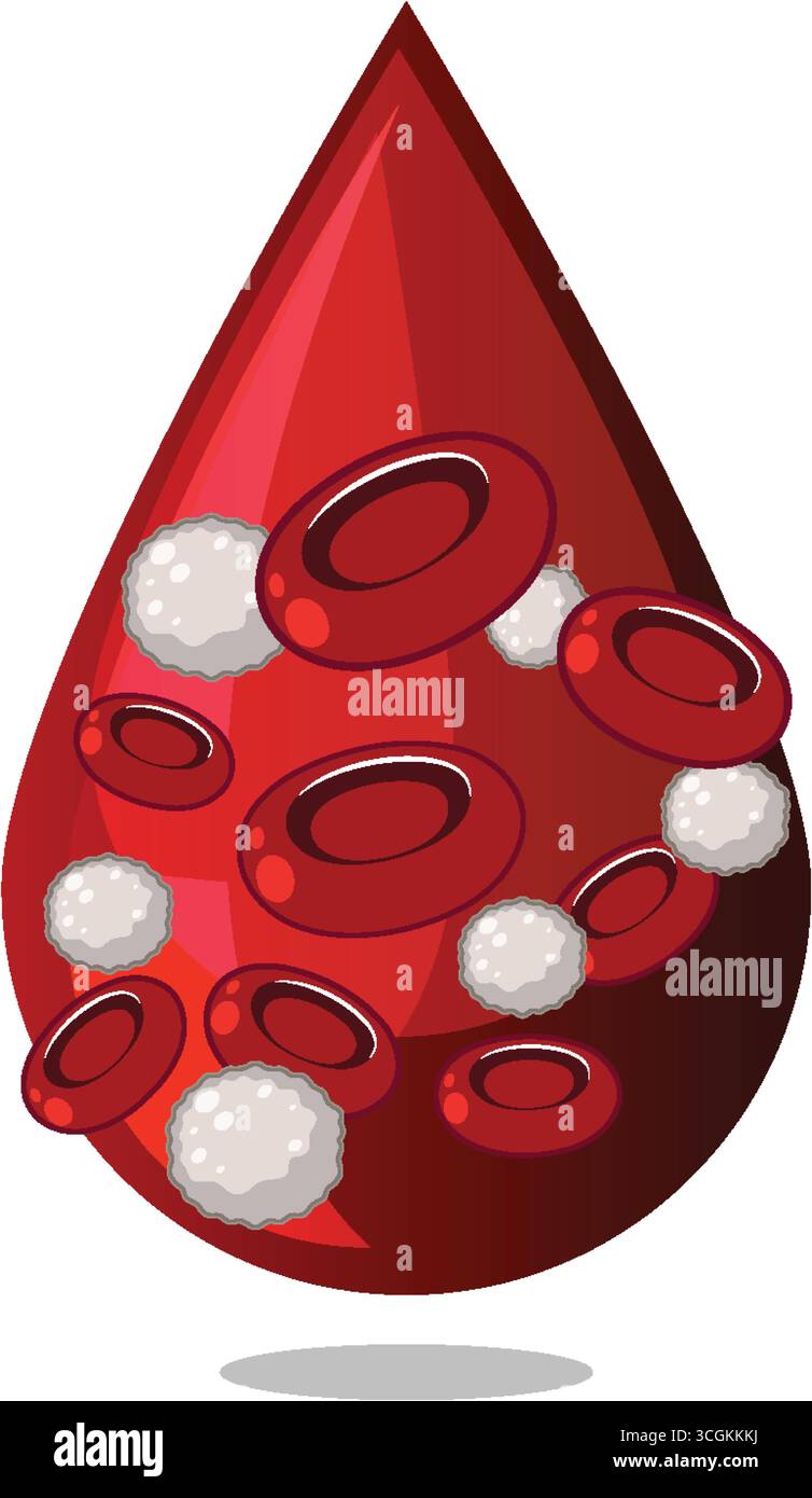 Stylized vector blood drop with red and white blood cells, flat design ...