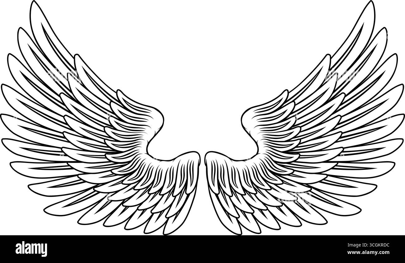 Angel Eagle Pegasus Feather Wings Illustration Stock Vector Image & Art ...