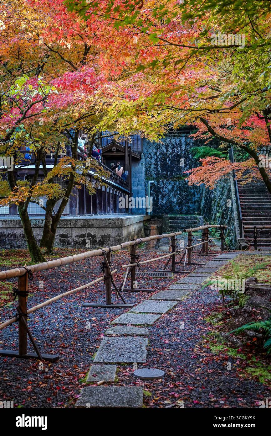 Stone walkway lined with trees turning color in Kyoto, Japan Stock ...