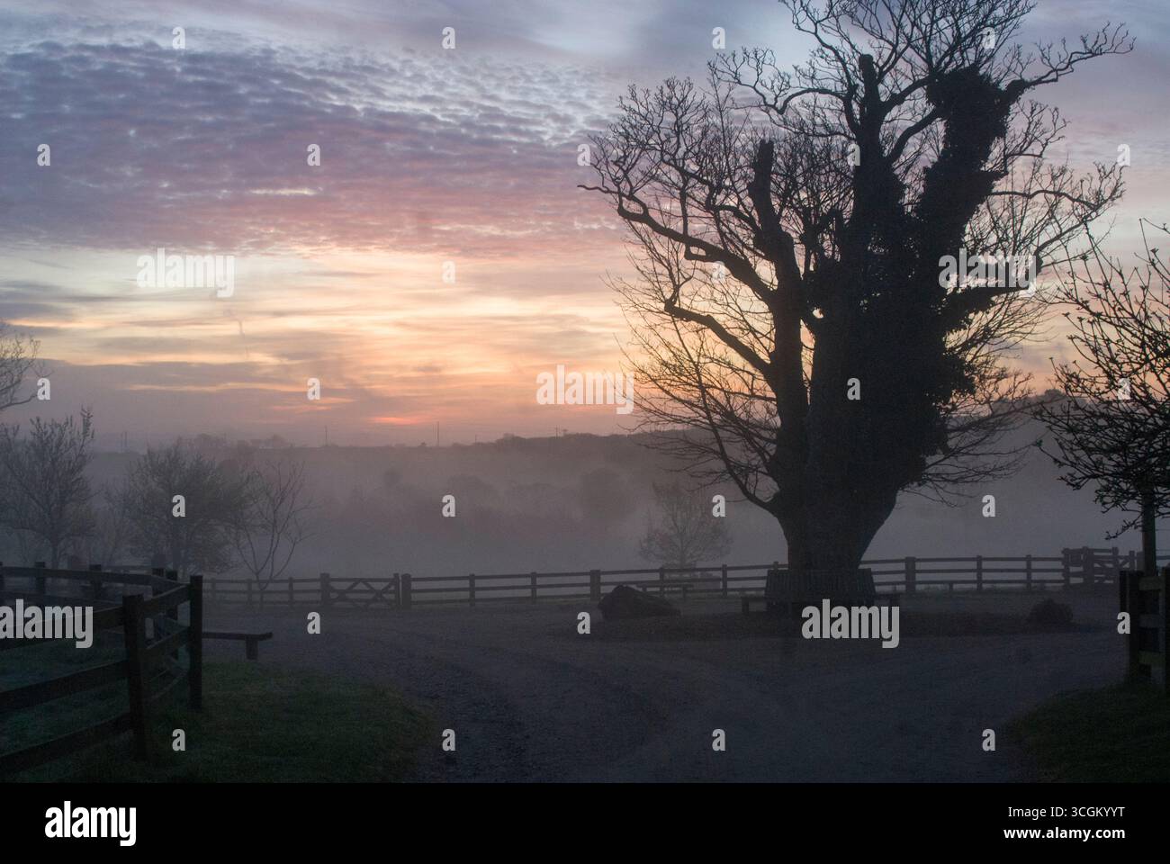 Beautiful colours in the sky showing through the early misty morning ...