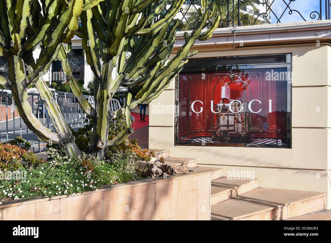 Exterior of a Gucci luxury boutique, with designer suitcases and bags ...