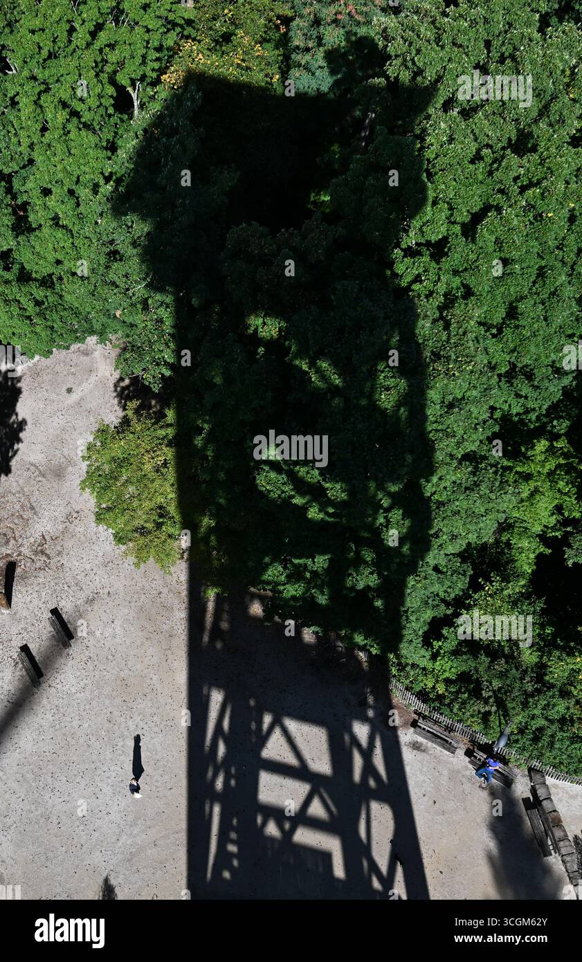 29 August 2025, Hesse, Frankfurt/Main: The shadow of Frankfurt's ...