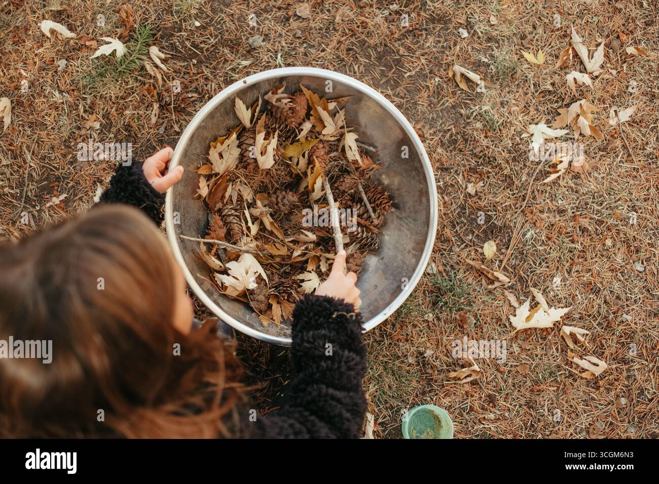 Preschooler exploring nature collecting autumn leaves and pine cones ...