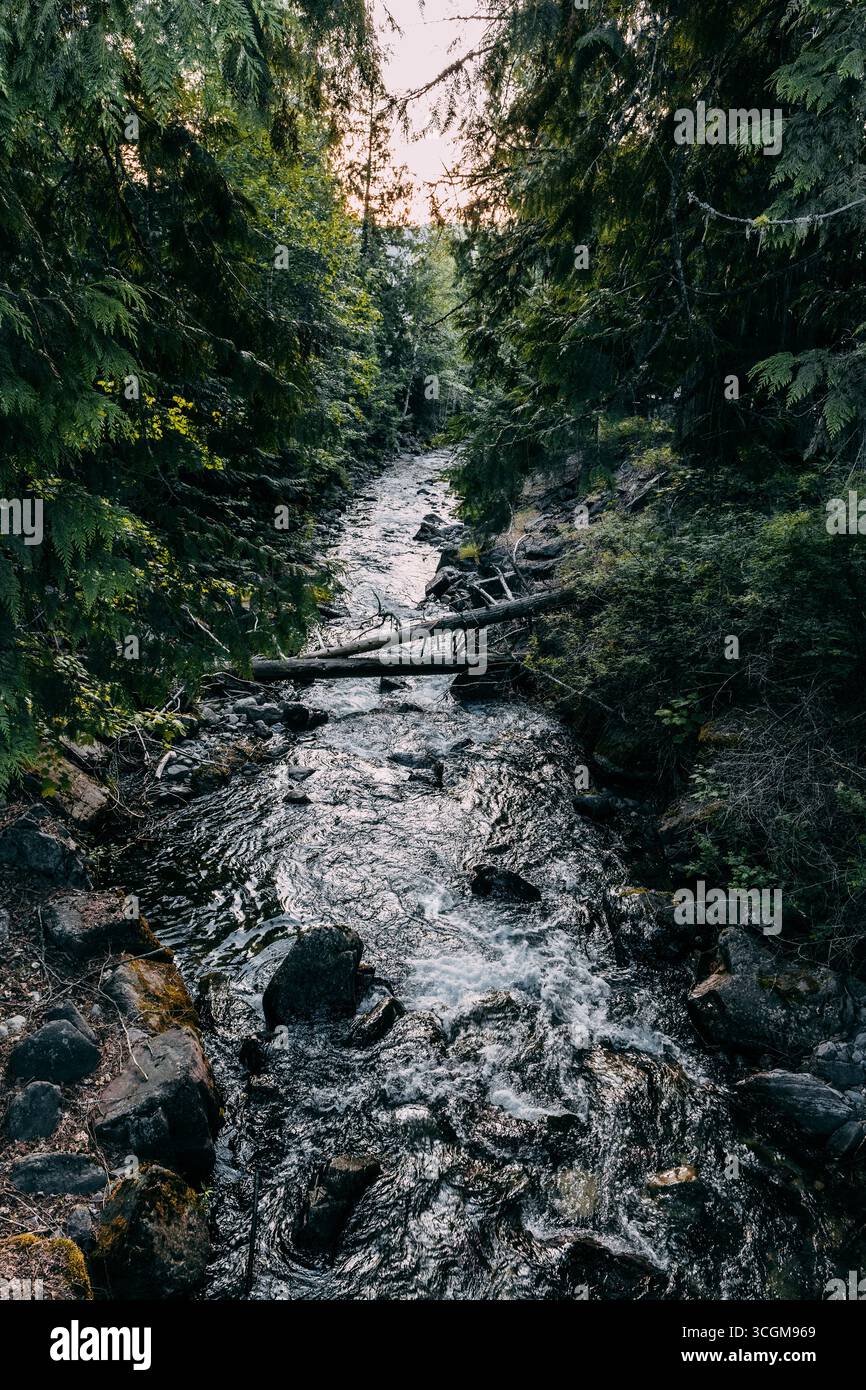 Wild water stream flowing river hi-res stock photography and images - Alamy