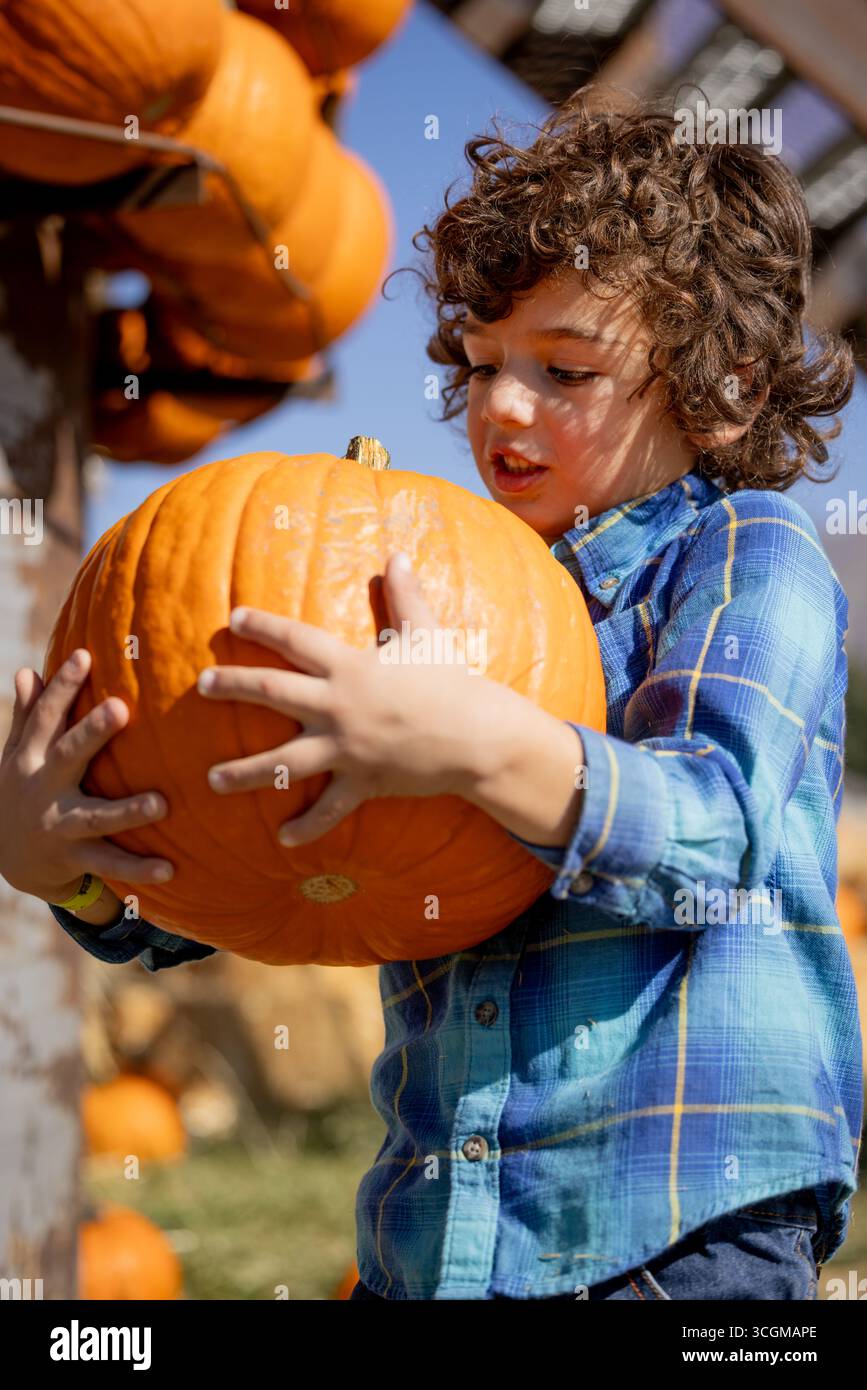 Child holding a large pumpkin at a pumpkin patch Stock Photo - Alamy