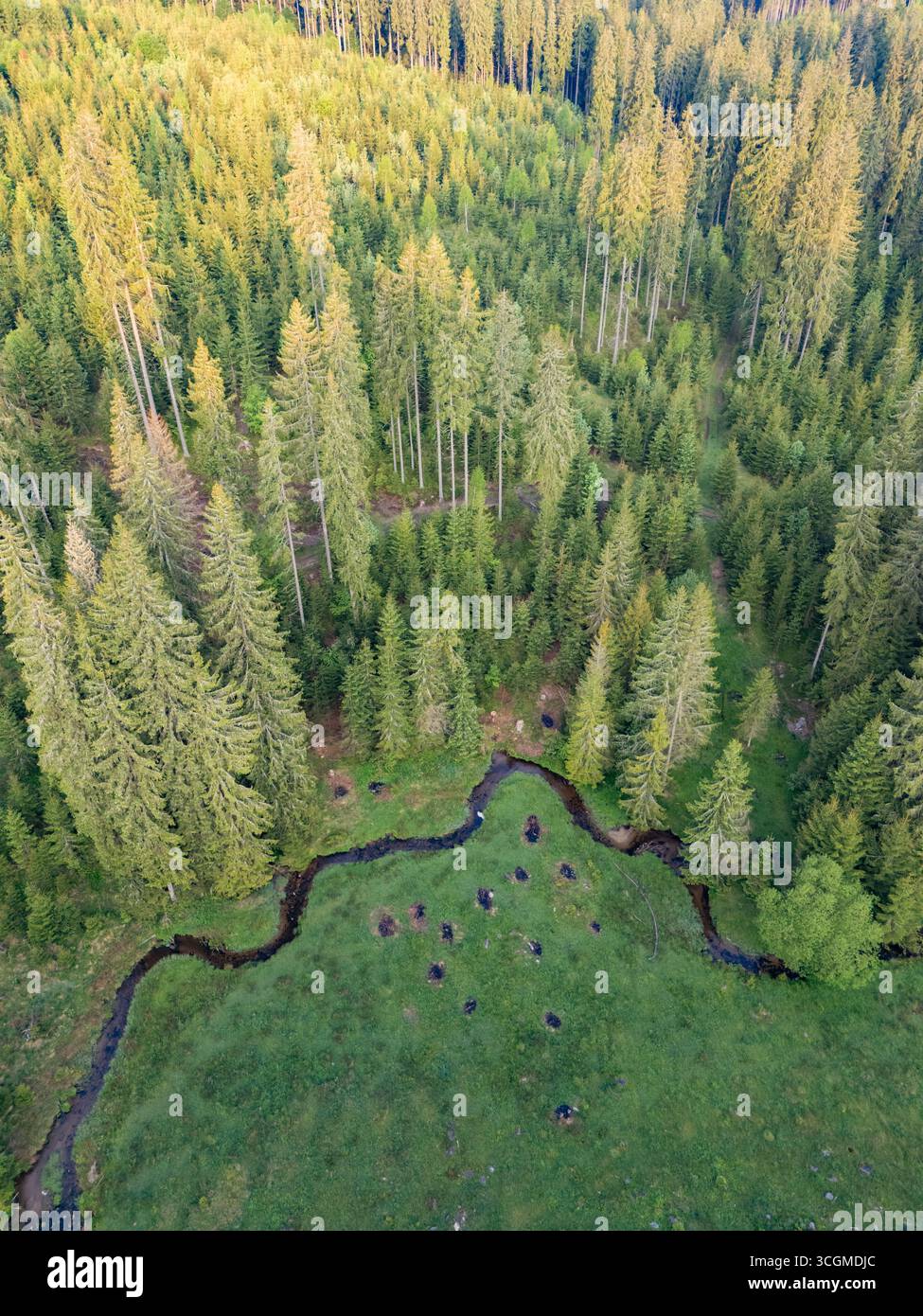 Aerial view meandering river flowing hi-res stock photography and ...