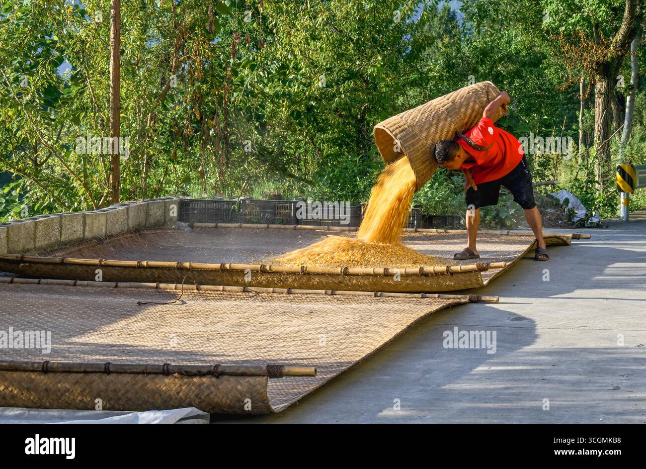 Villagers dry crops in the sun in Youyang County, Chongqing, China, 27 ...