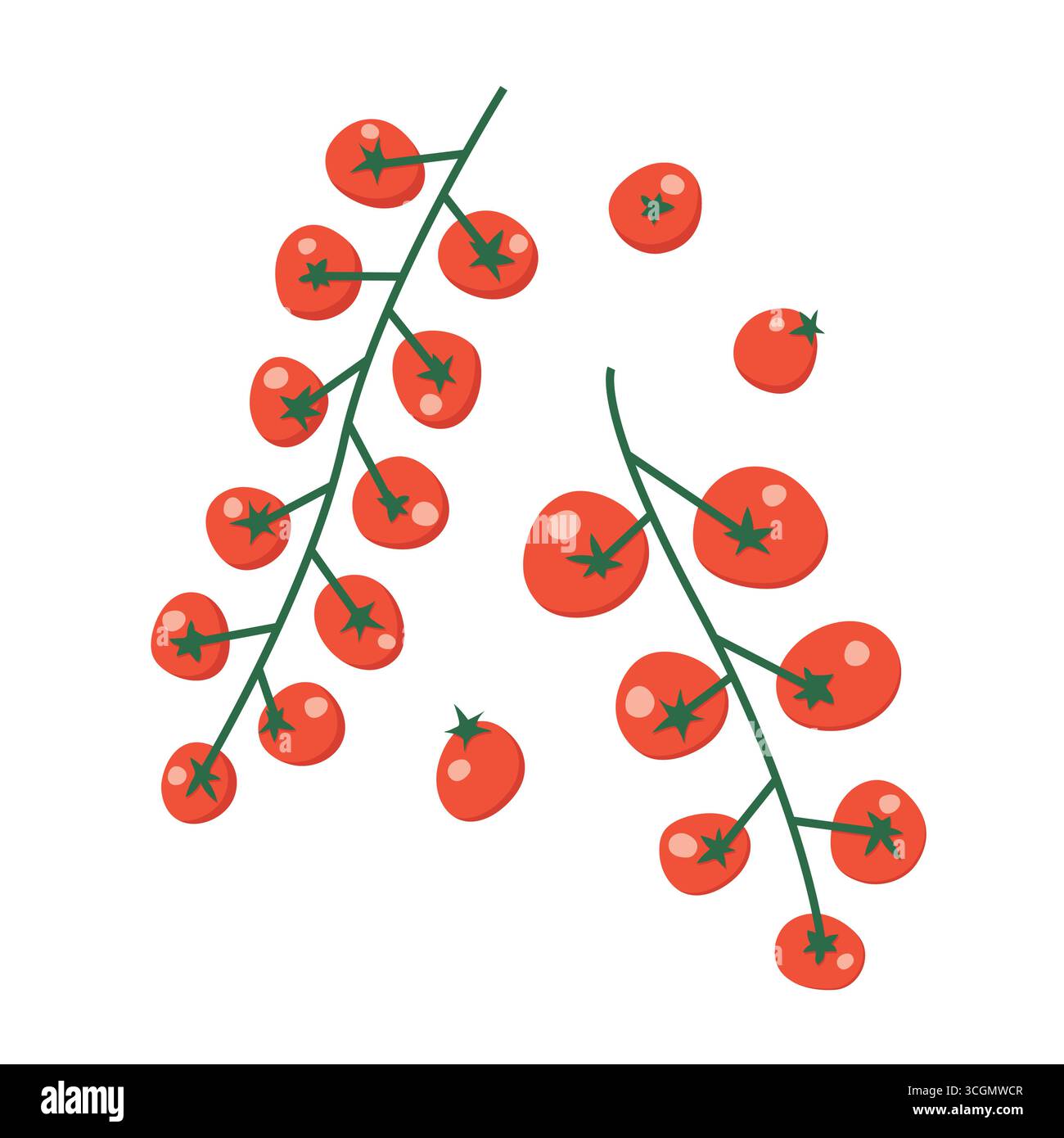 Farmers market cherry tomatoes Stock Vector Images - Alamy