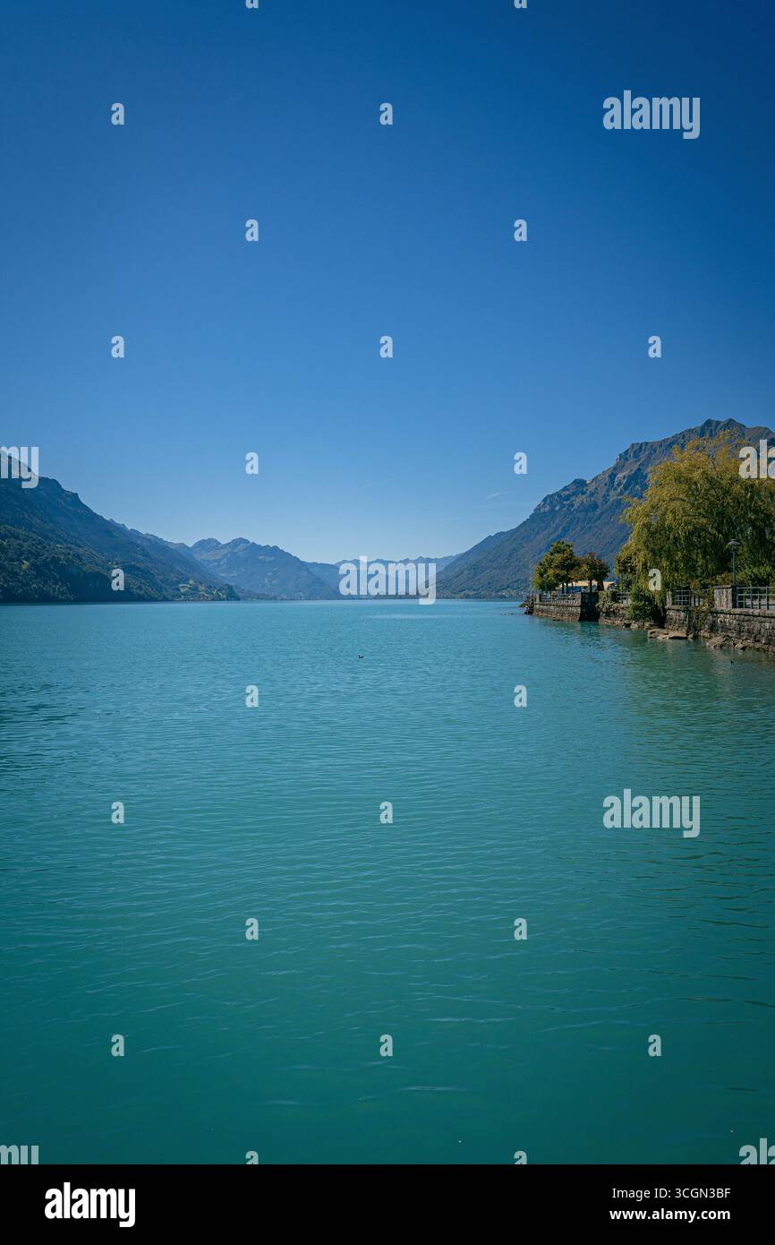 Mountain lake panorama with deep blue water and surrounding green ...