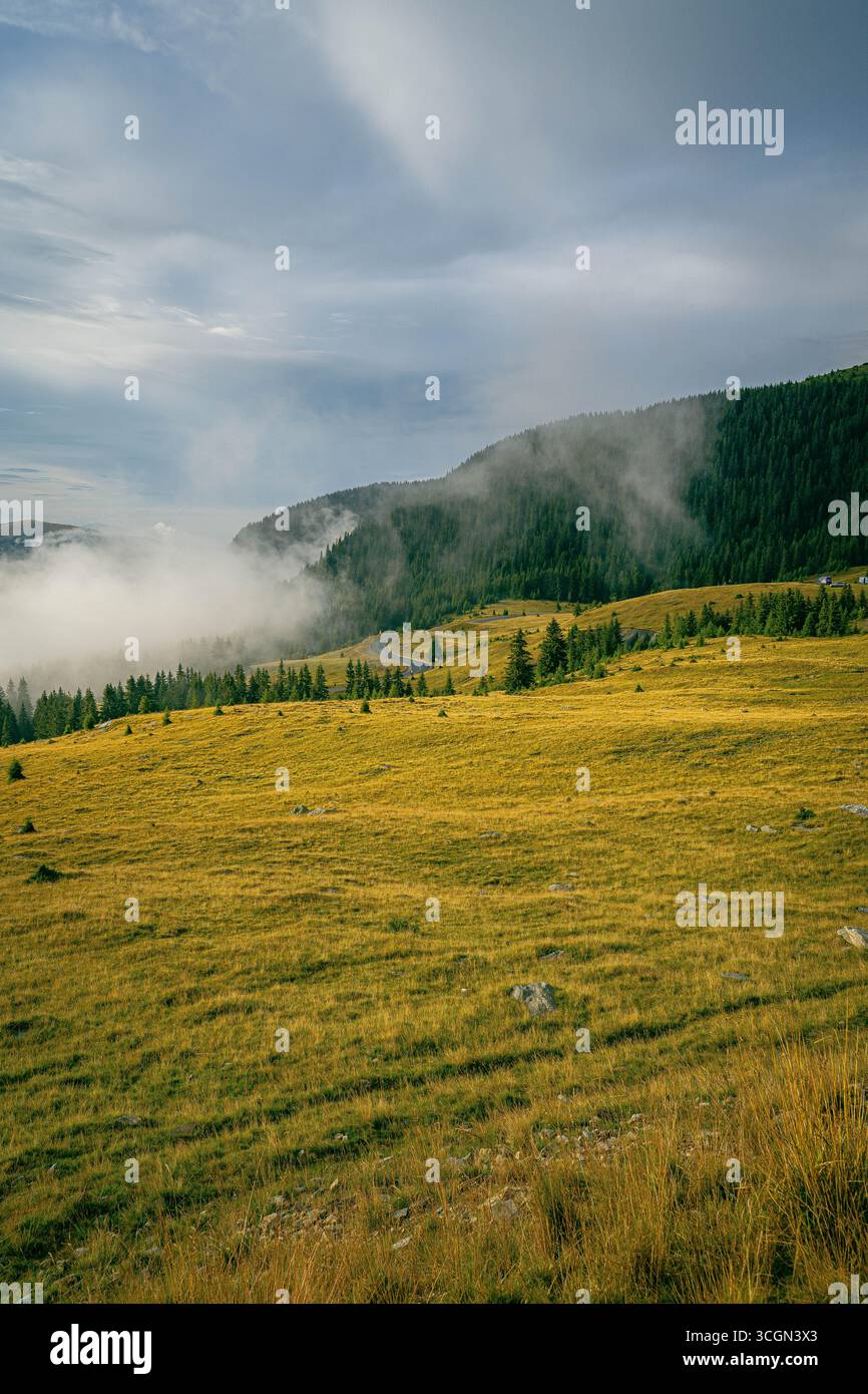 Golden alpine meadow rolling hi-res stock photography and images - Alamy