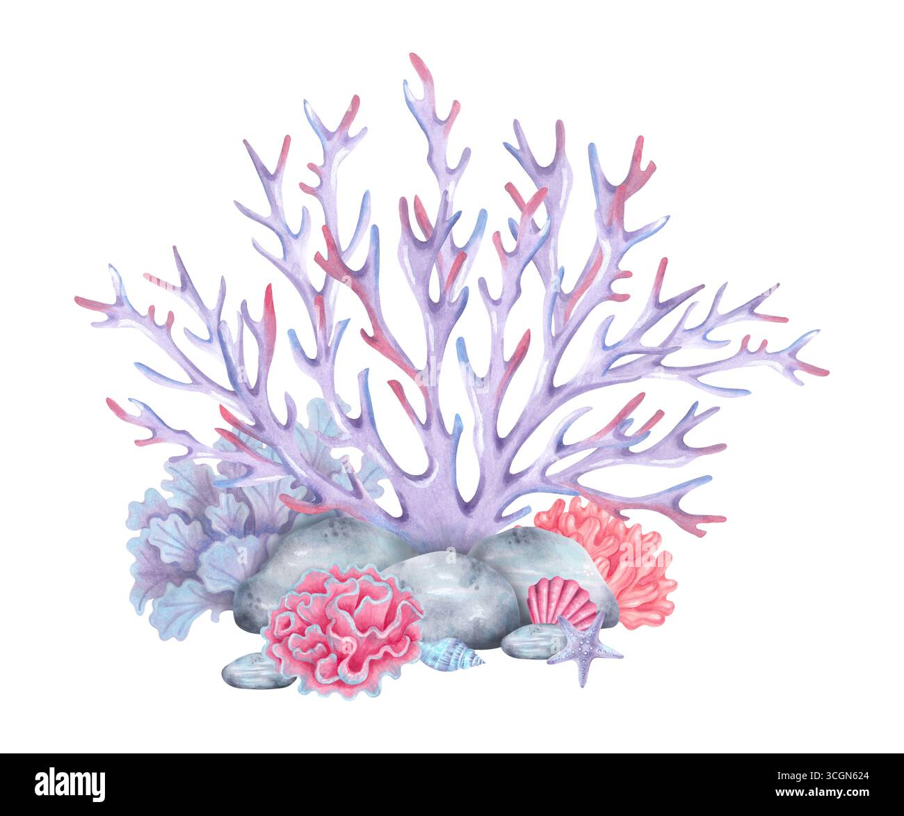 Coral reef with shells, stones and starfish. Watercolor illustration ...