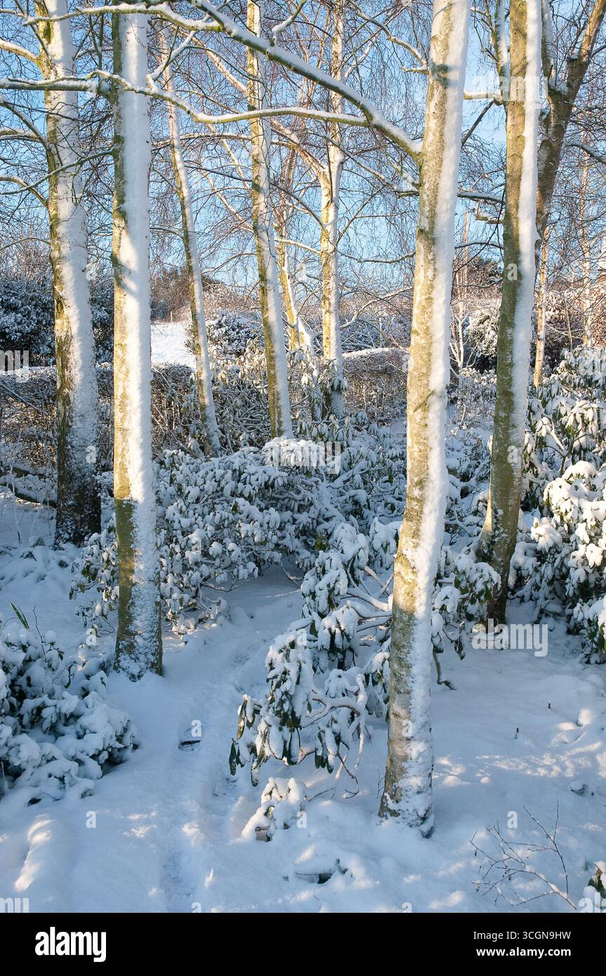 Winter panorama features fresh hi-res stock photography and images - Alamy