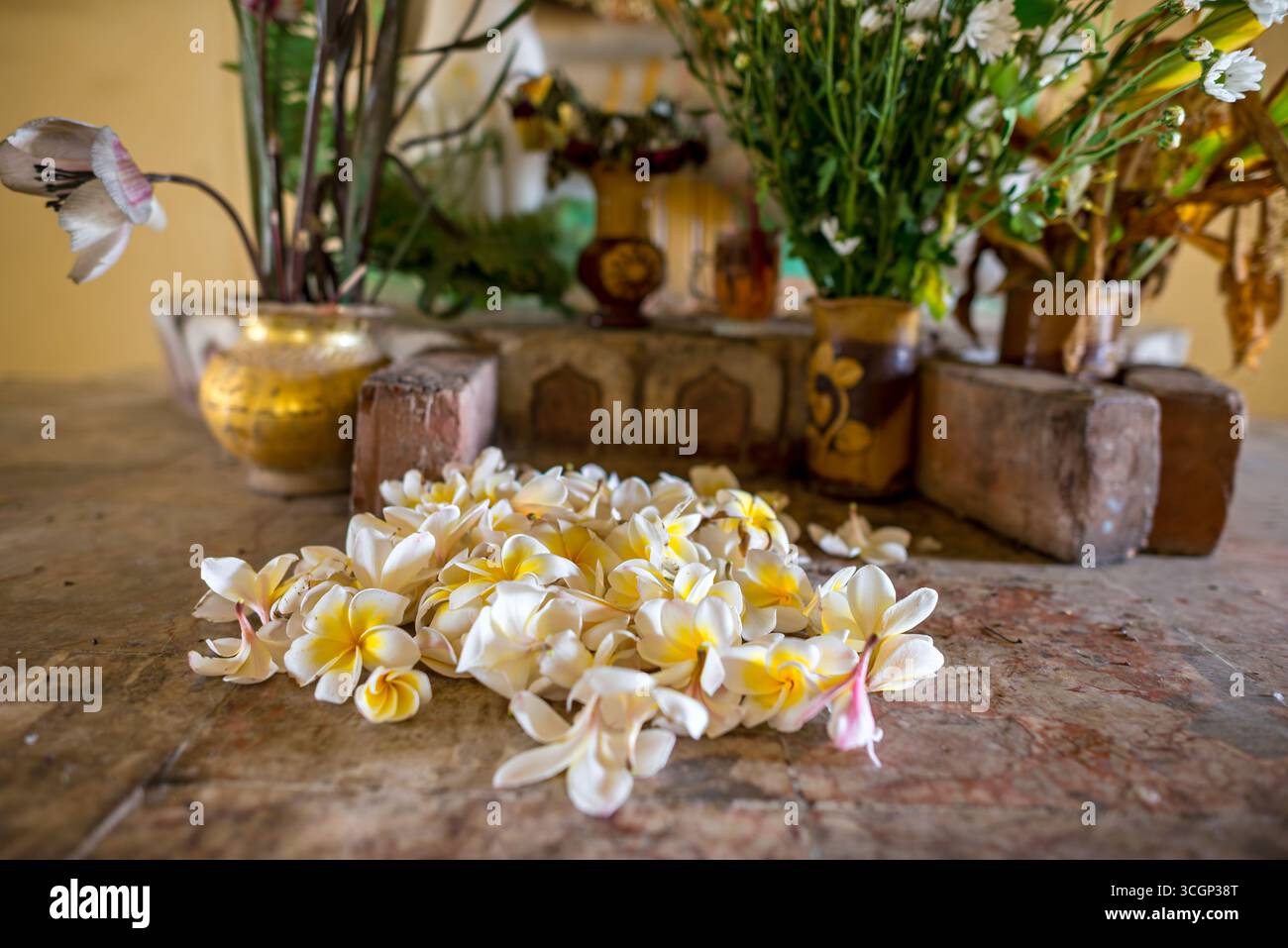 Plumeria flowers buddhist temple hi-res stock photography and images ...