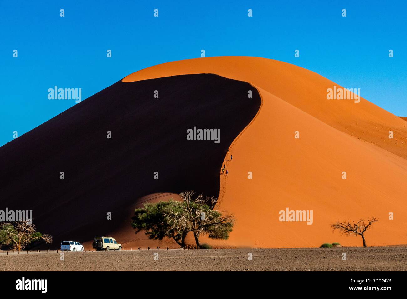 red sand sunes of Sossusvlei, Namib Desert, namibia Stock Photo - Alamy