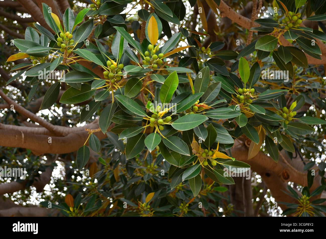 Parco piersanti mattarella hi-res stock photography and images - Alamy