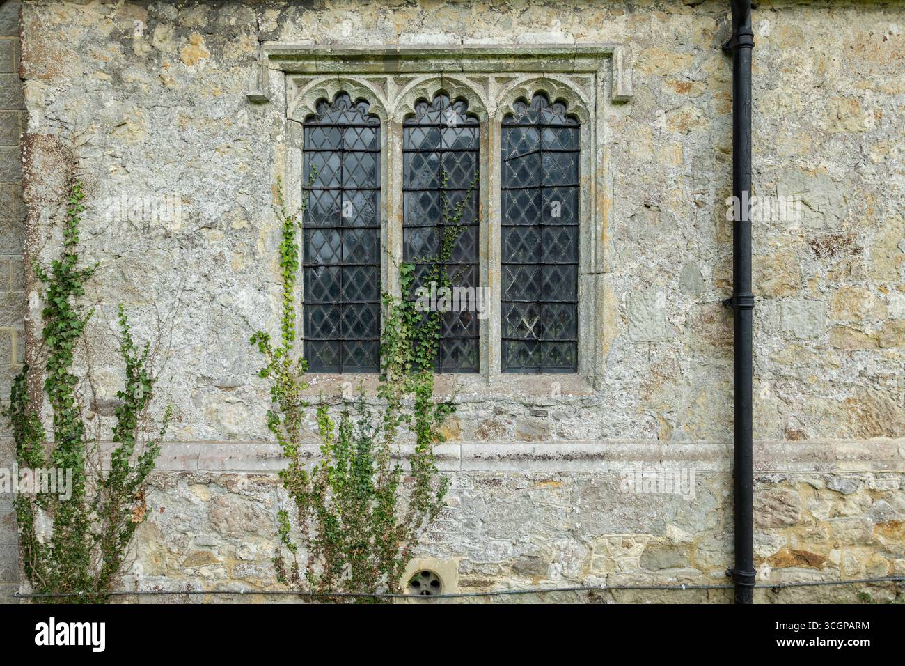 Historic church Stone Wall With Vine-Covered Gothic Window and Rustic ...