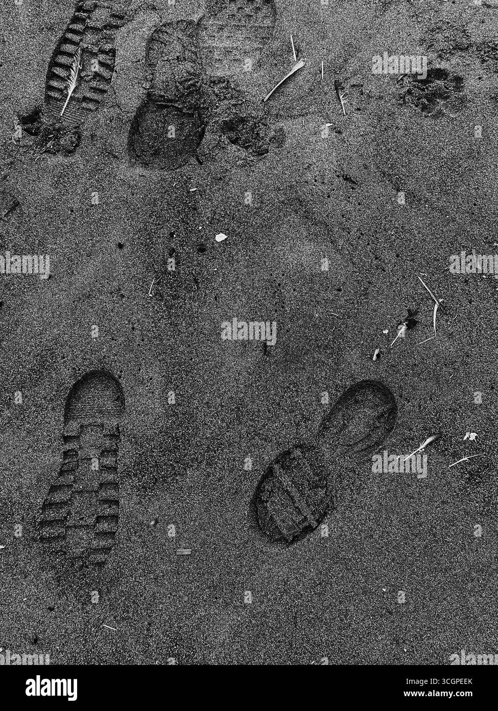 Trail step Black and White Stock Photos & Images - Alamy